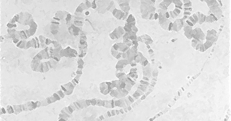 Singh Lab – Evolutionary genetics